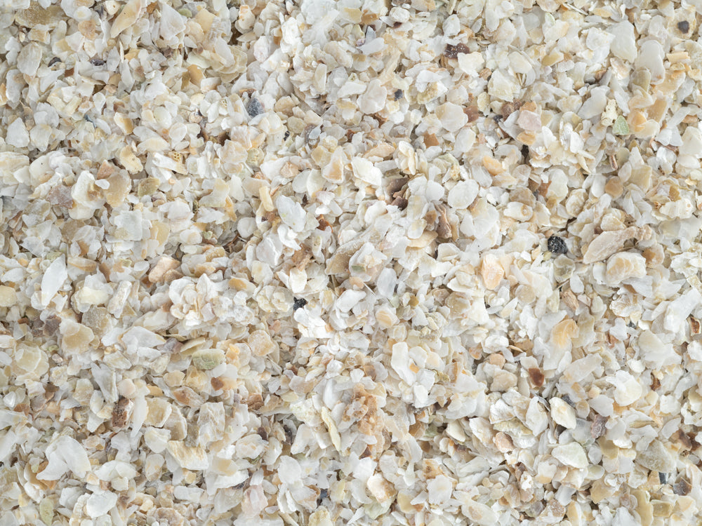 Oyster Shell Fine Grit - Family owned online pet store – Pets North
